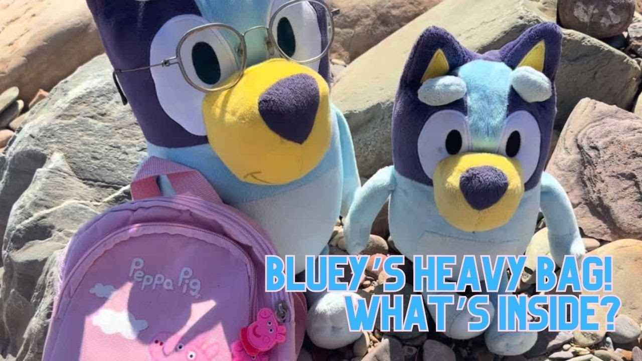 Bluey’s HEAVY Picnic! What Did She Pack? - YouTube