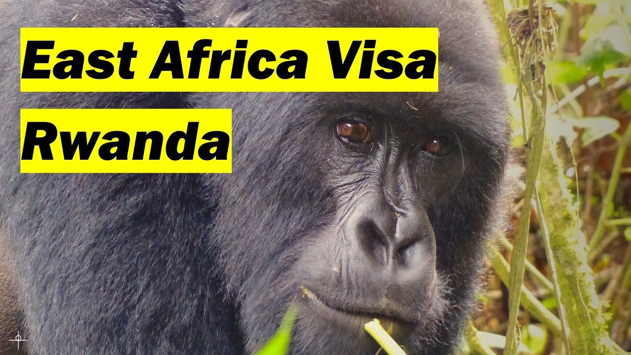 How to apply for the East Africa Visa - Rwanda 🇷🇼 - YouTube