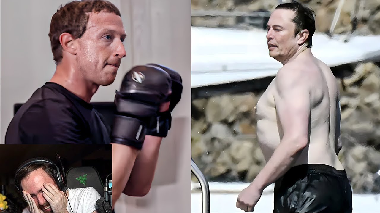 Elon Musk vs Zuck Situation - YouTube