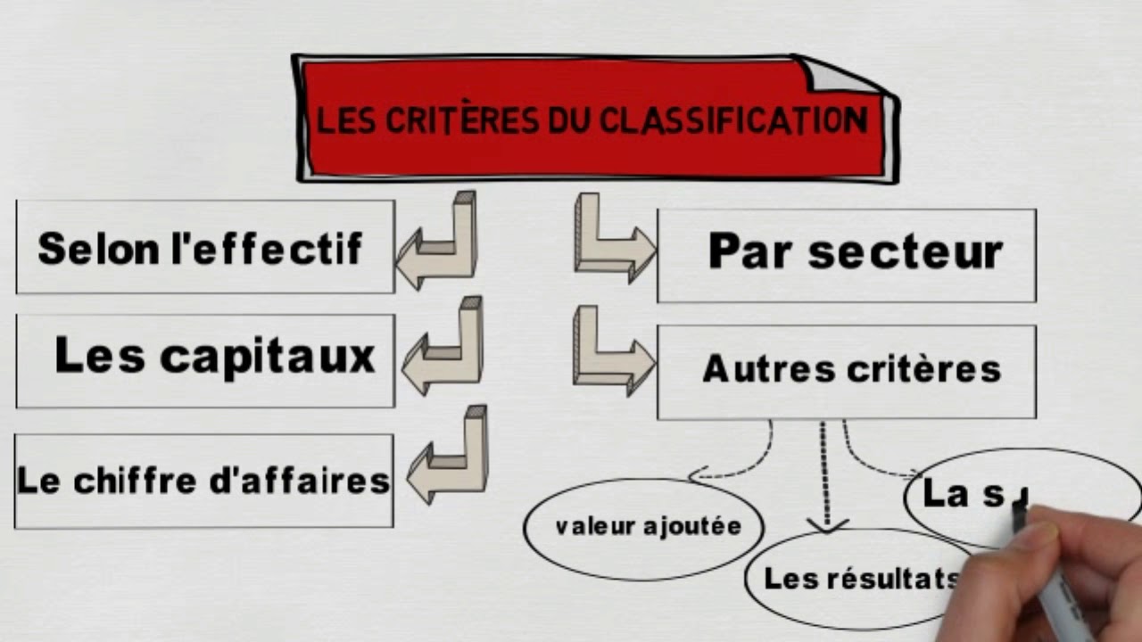 classification économique et dimensionnelle des entreprises - YouTube
