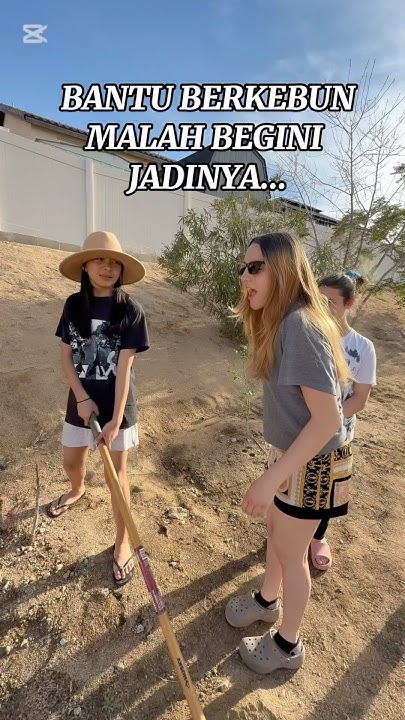 Berkebun di Belakang Rumah - YouTube