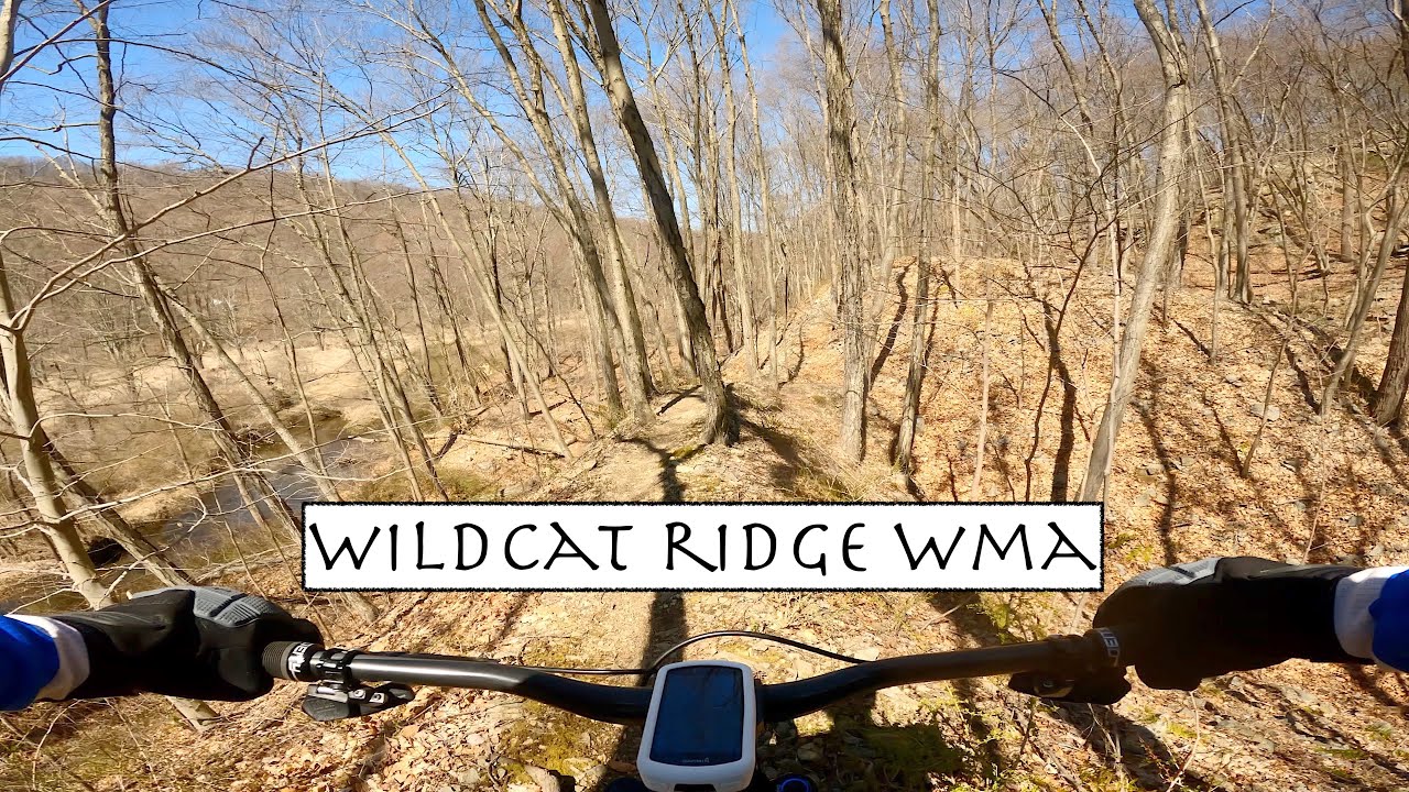 Wildcat Ridge WMA Apr 3, 2023 - YouTube