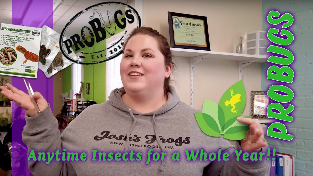 Lindsay shows off the many benefits of Packaged Insects with Pro Bugs ...