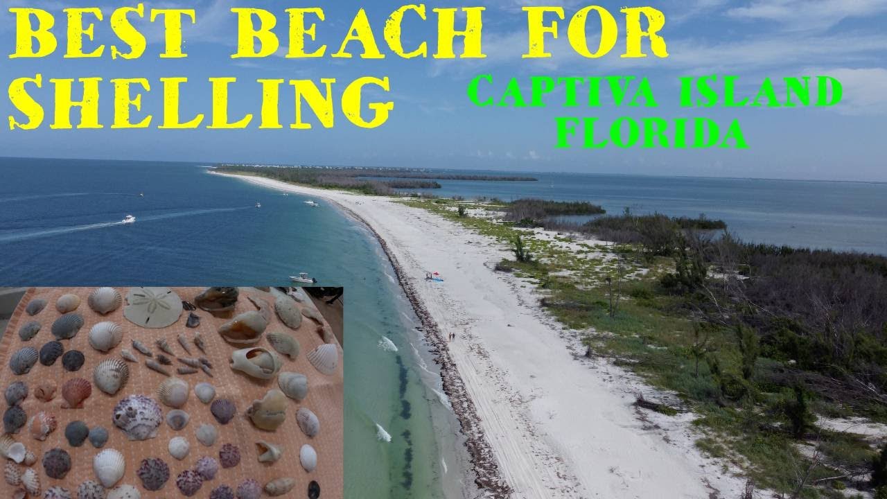 BEST Shelling Beach! / Captiva island Florida / seashell collecting ...