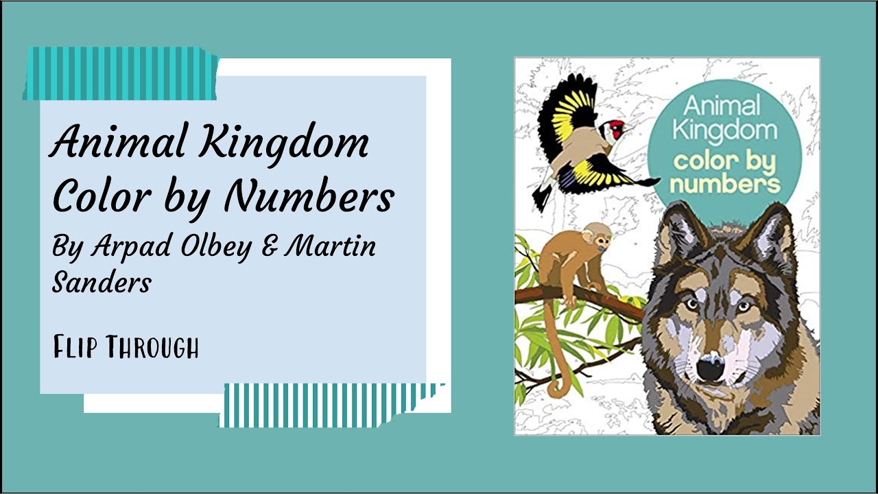 Animal Kingdom Colour by Numbers (Arcturus Colour by Numbers Collection ...
