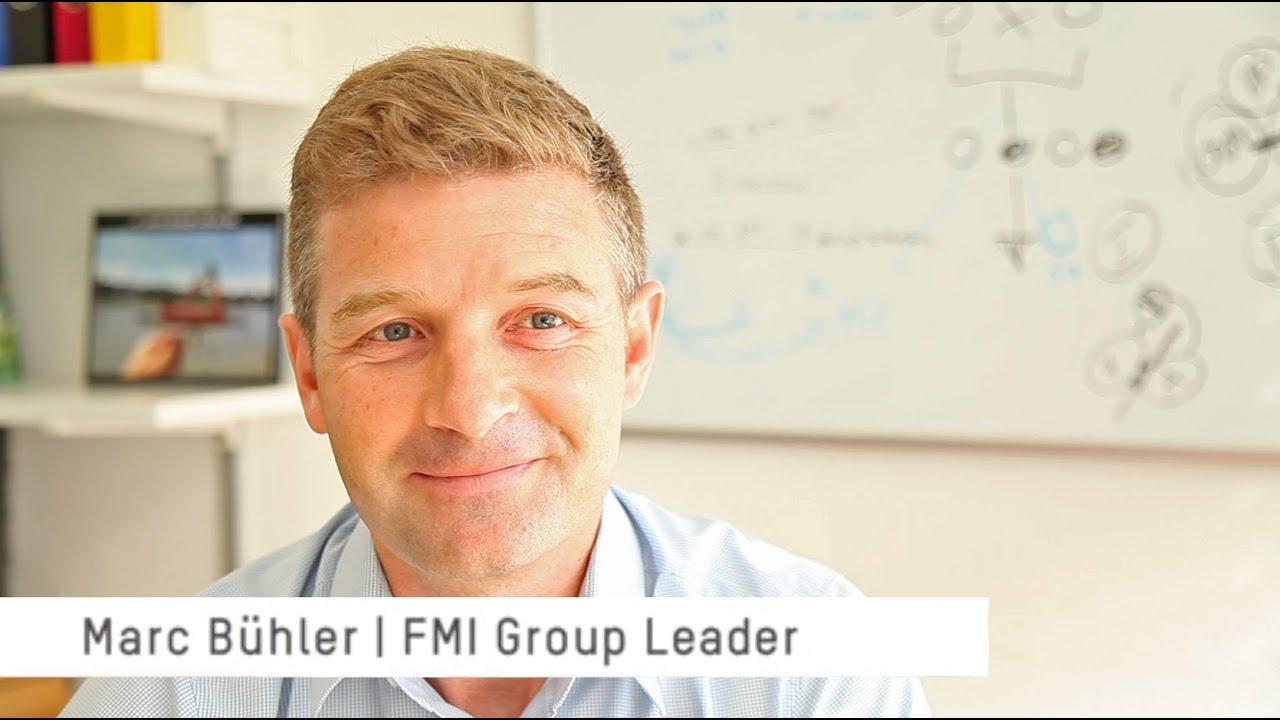Marc Bühler - Group leader at the Friedrich Miescher Institute for ...