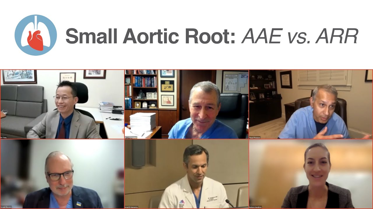 Small Aortic Root—Annular Enlargement vs. Total Replacement - YouTube