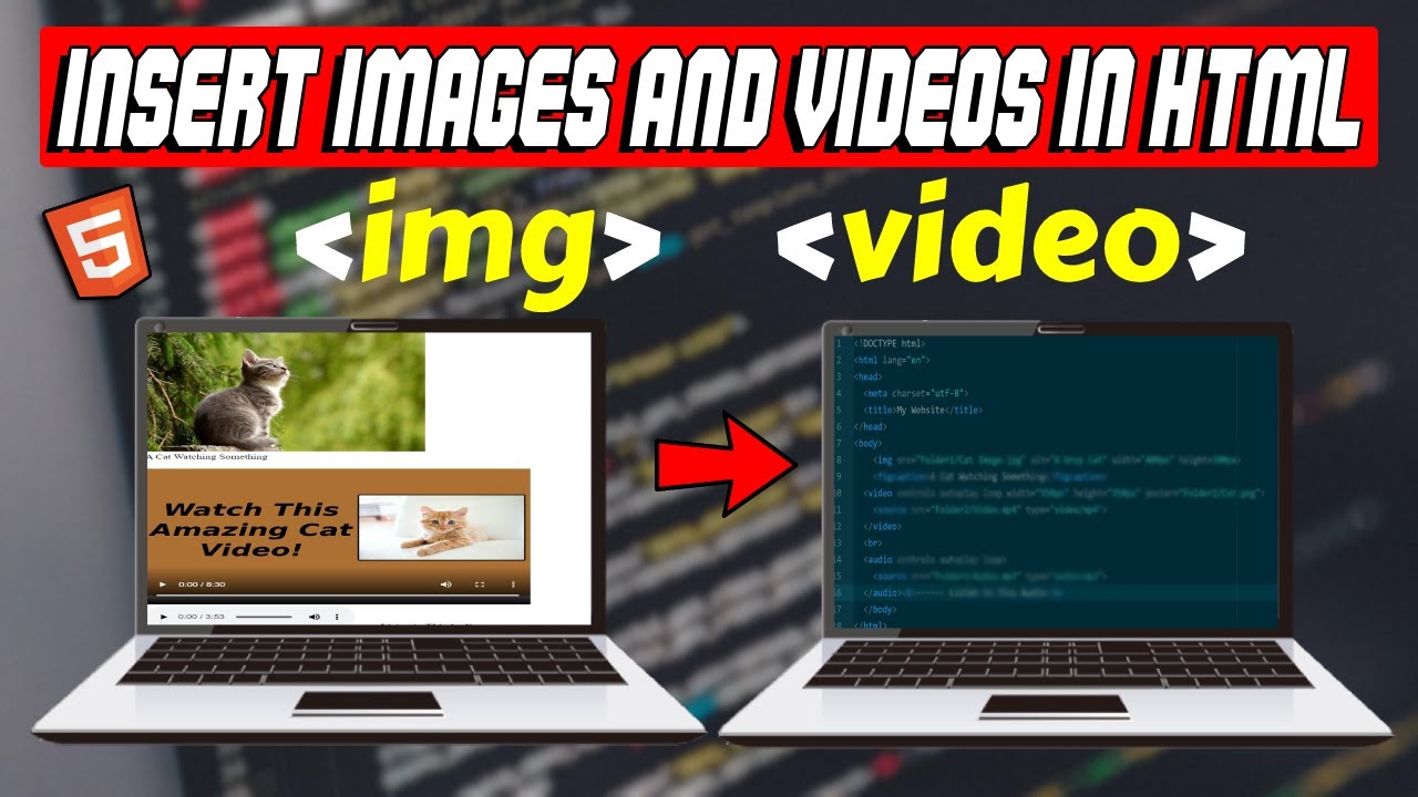 How to Add Images and Videos in Html | Html Tutorial for Beginners ...