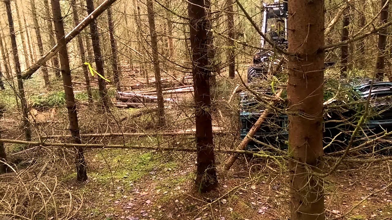 Malwa 560C with Log Max 928 and Log Mate 500 control system - YouTube