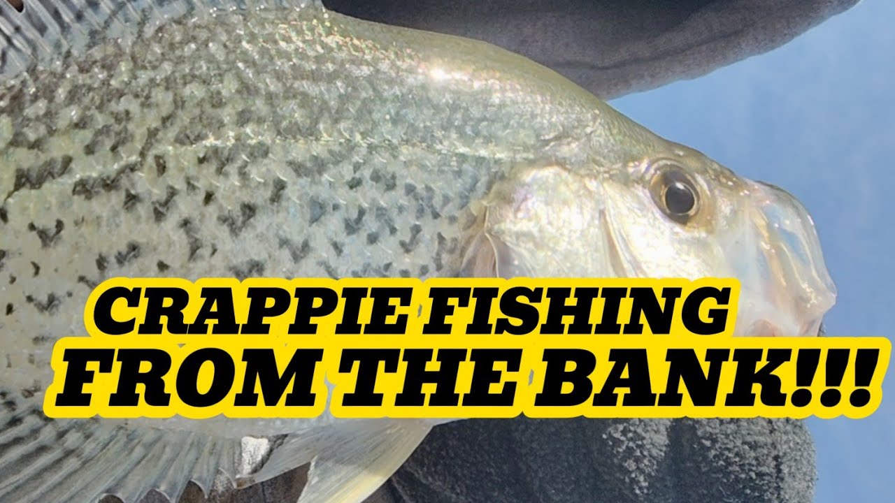 An EASY Technique To Catch CRAPPIE! - YouTube