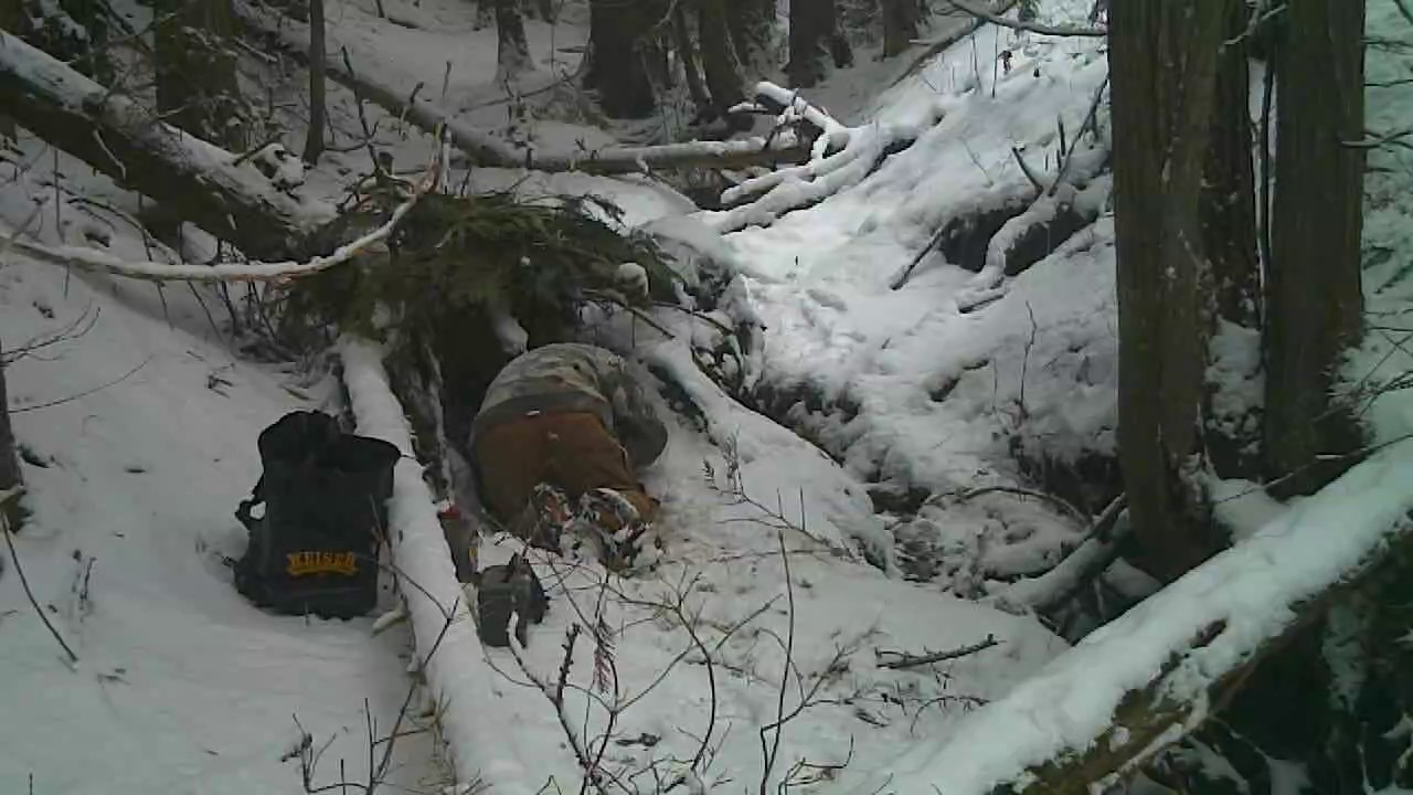 building a bobcat set - YouTube