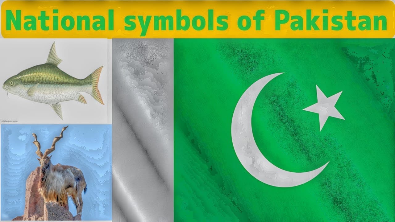 National Symbols of Pakistan | PPSC | G.K | FPSC | - YouTube