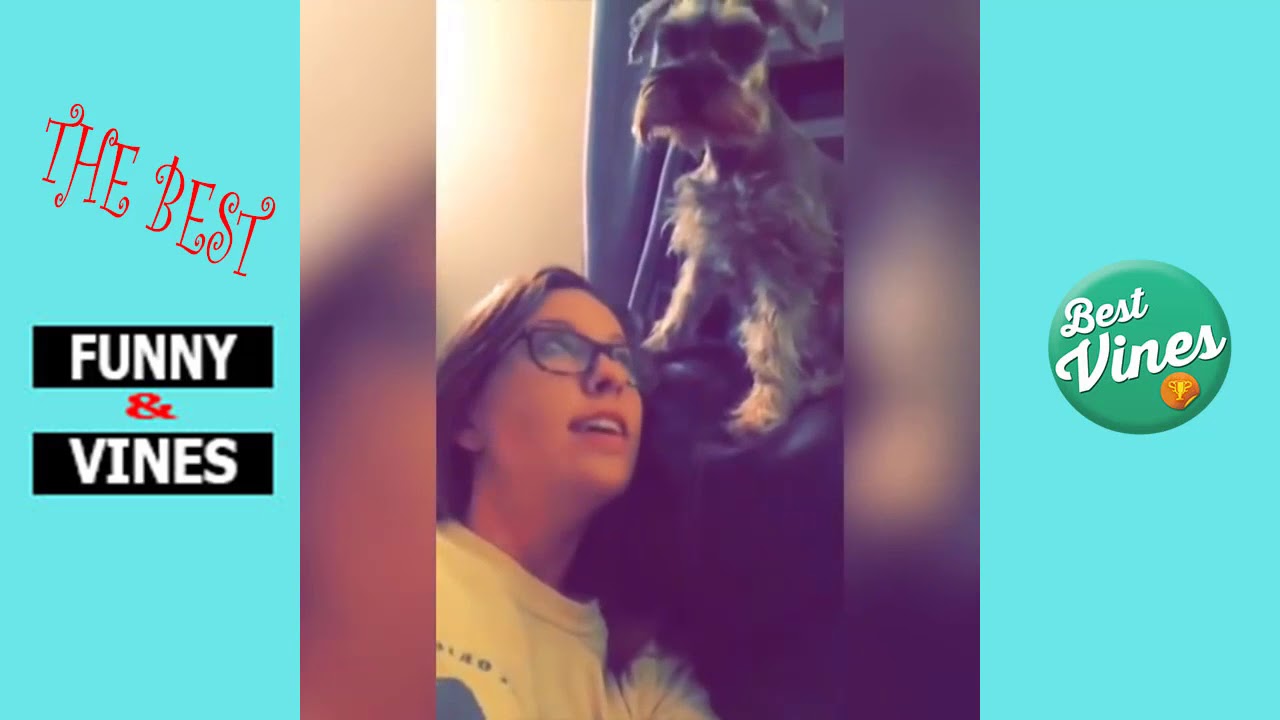 Funny Vines Fail Compilation Best Vines 2017 12 - YouTube