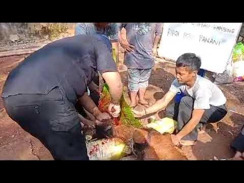 iedul aďha 1445 H / 2024 M @panti_asuhan_islam_playen_Gk_DIY(1) - YouTube