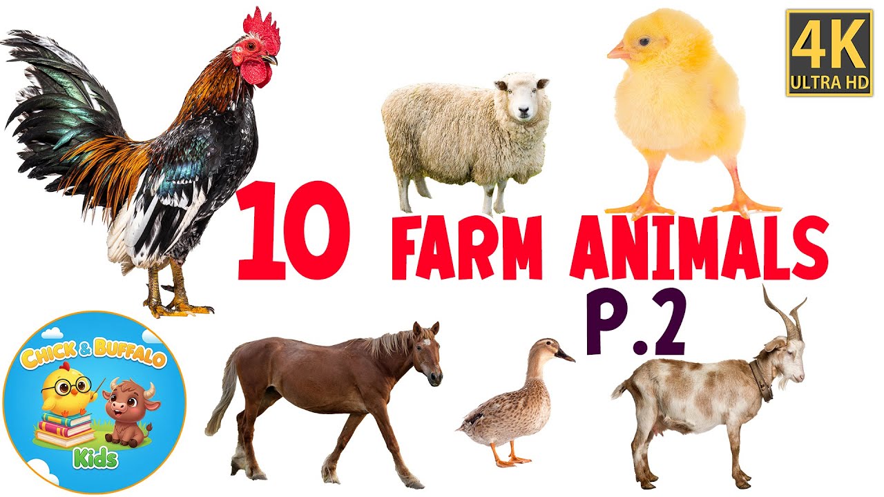 Learn 10 Farm Animals for Kids (Part 2) | Animal Names and Real Sounds ...