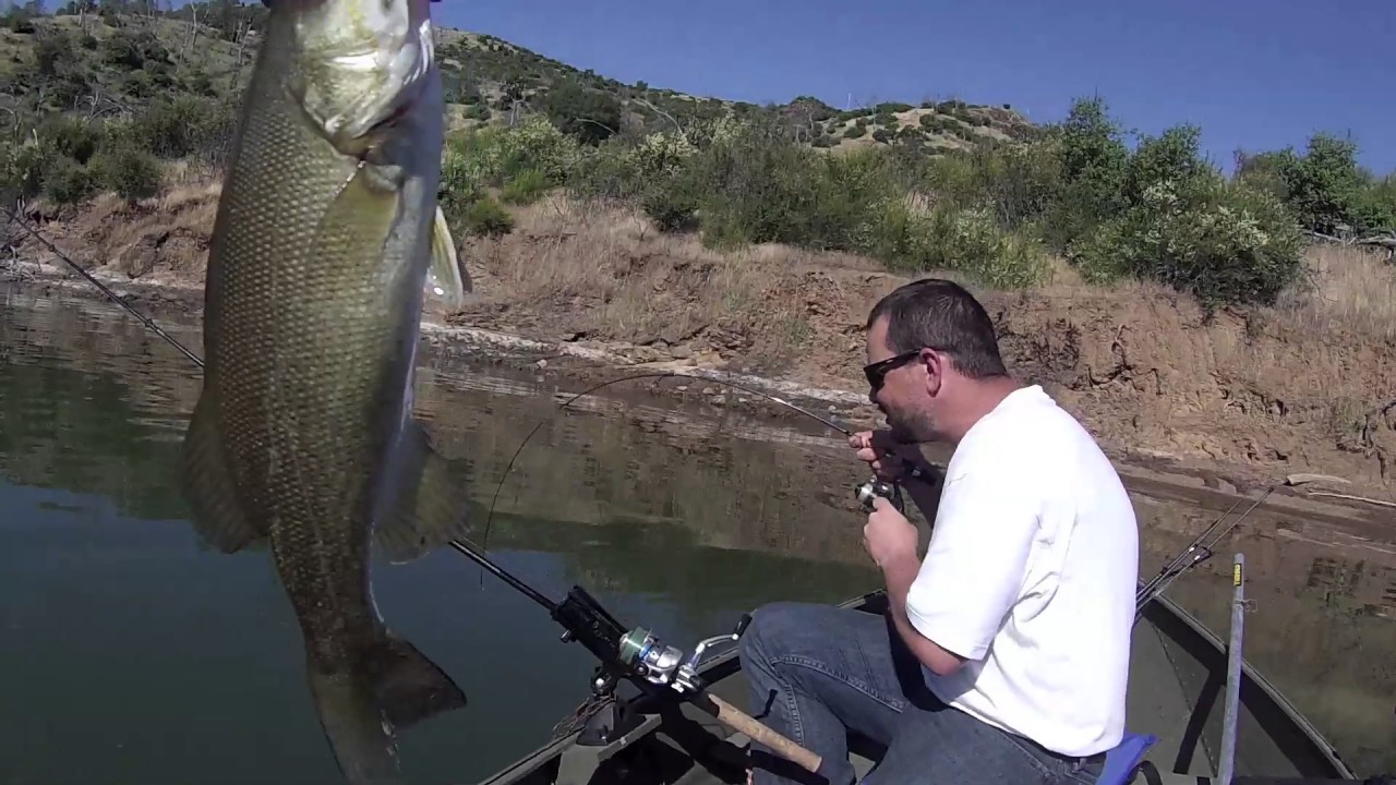 Fishing Crappie and Blue Gill - YouTube