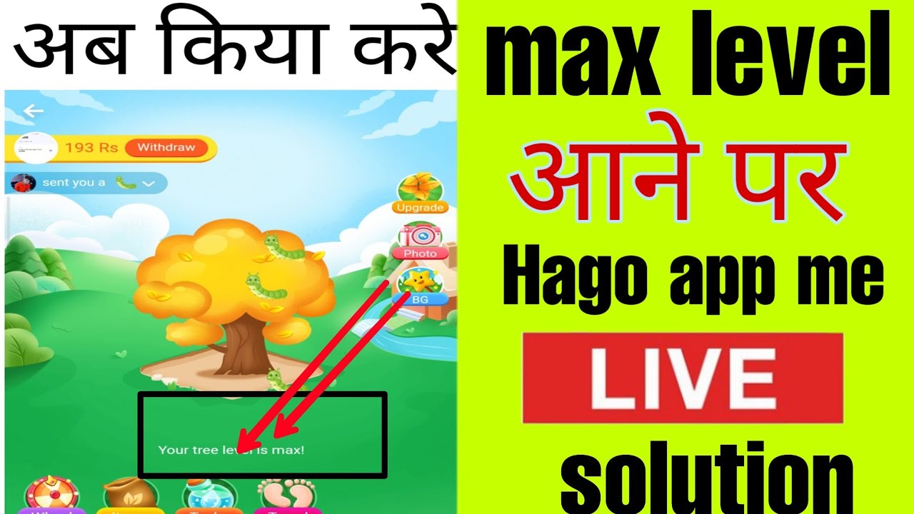 Hago money plants maximum level | hago max level | Hago max level tree ...