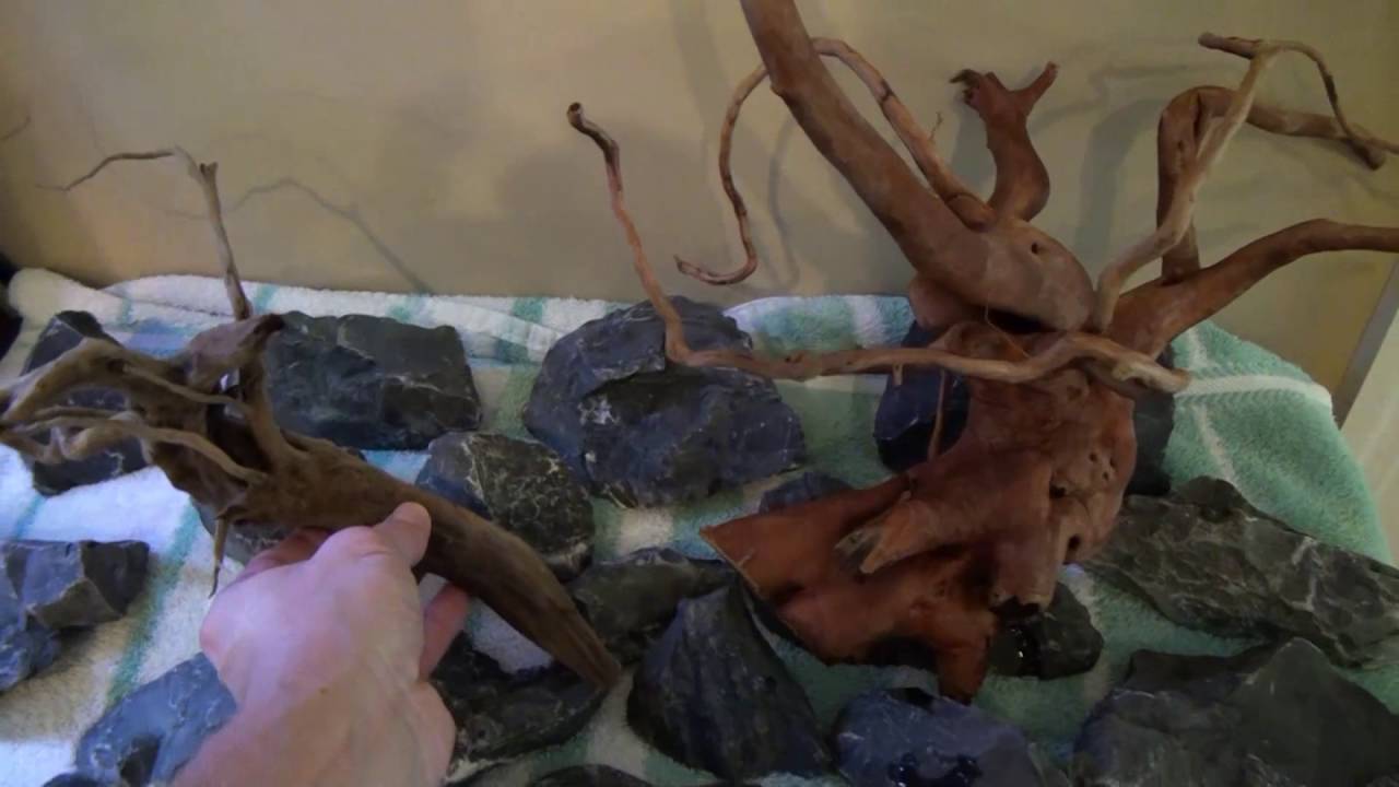 River Tank Part 1 (Hardscape) - YouTube