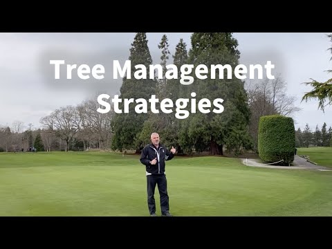 Tree Management Strategies - YouTube