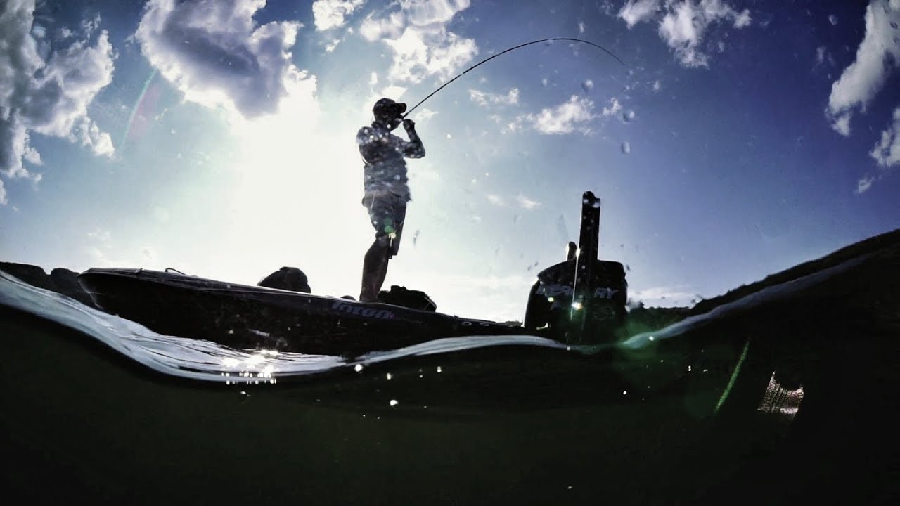 Fishing With Live Shad For Wilson Lake Smallmouth - YouTube