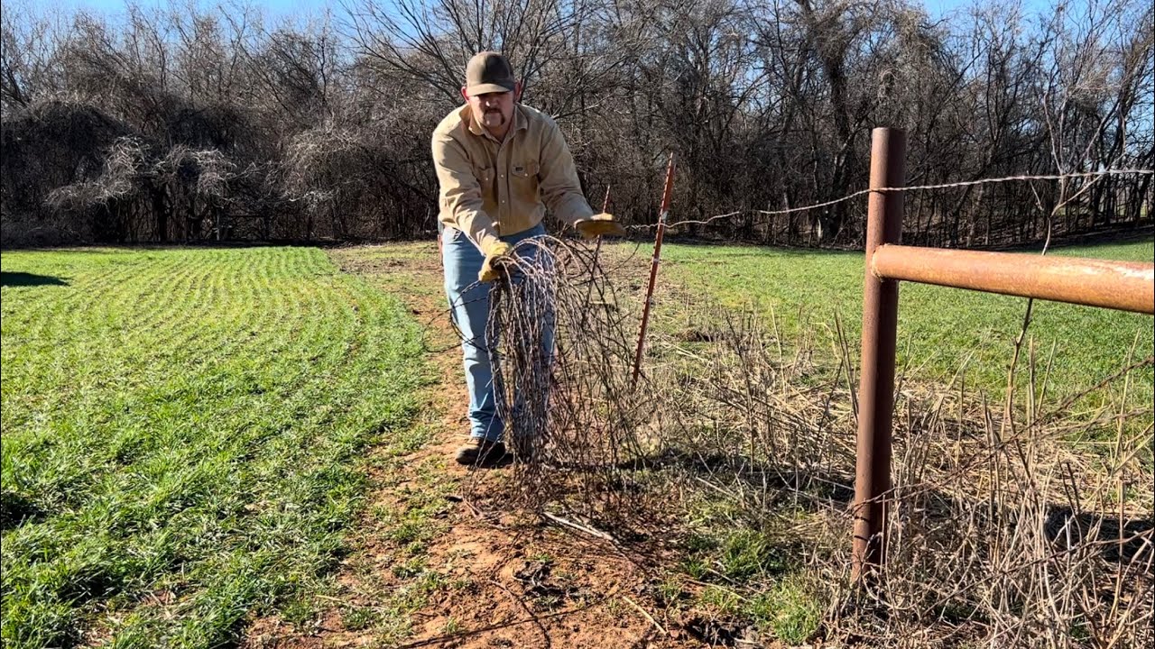 Rolling up barb wire to build a new fence - YouTube