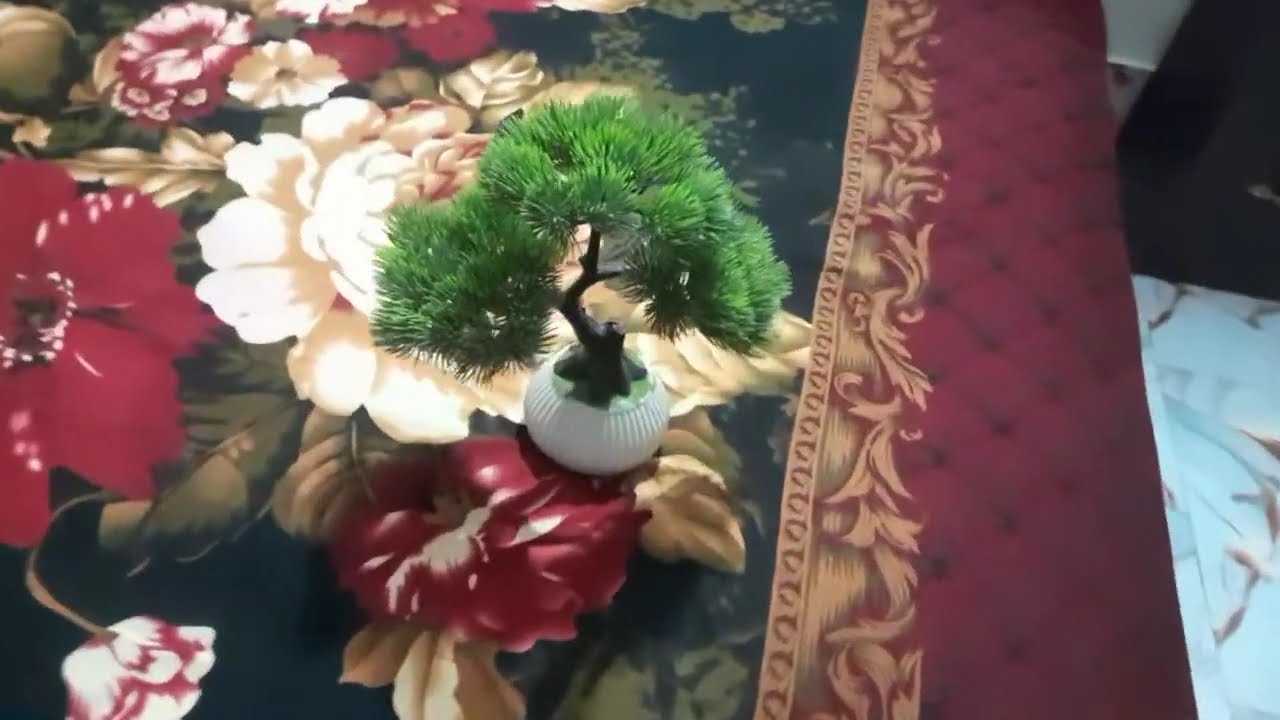 🍓 Top Tropical Models Take Over IBIZA 🌴 Don’t Miss the Summer Spectacle ...