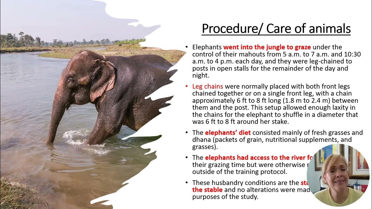 AICE Fagen et al - YouTube