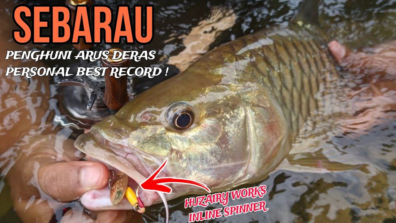 SEBARAU MONSTER ! Personal Best Record - YouTube