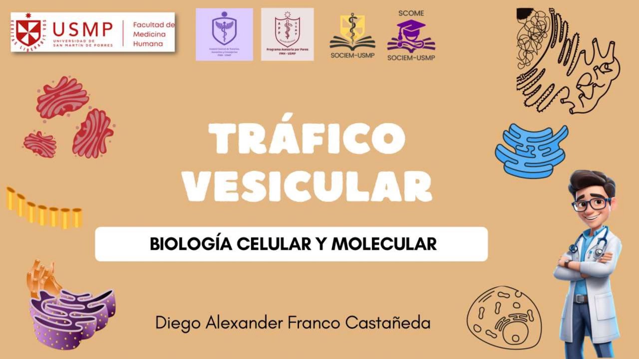 BIOLOGÍA - SESIÓN S6 - TRÁFICO VESICULAR - DIEGO FRANCO - 2024 II - YouTube