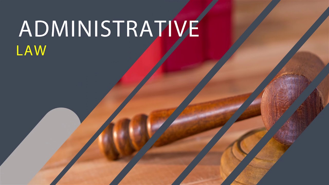 COMPARATIVE ADMINISTRATIVE LAW - YouTube