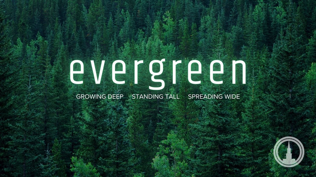Sunday Morning - Evergreen: Play the Long Game - April 14 - YouTube