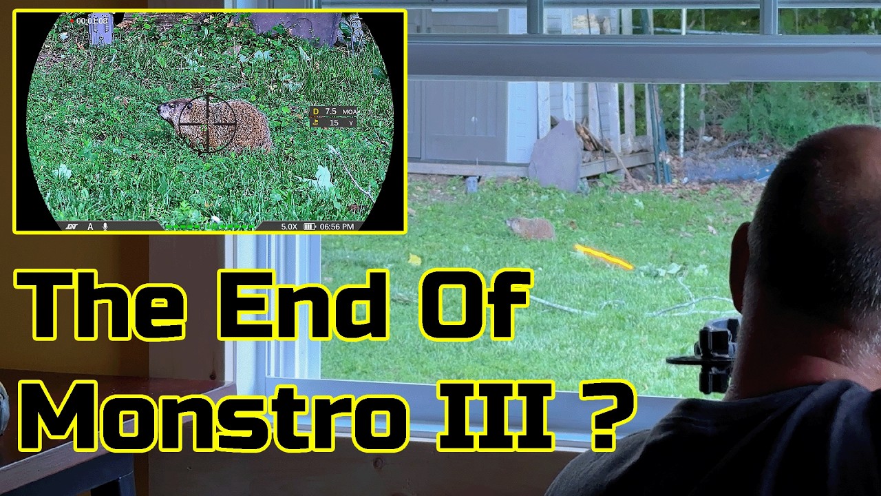 Backyard Varmint Hunting - YouTube