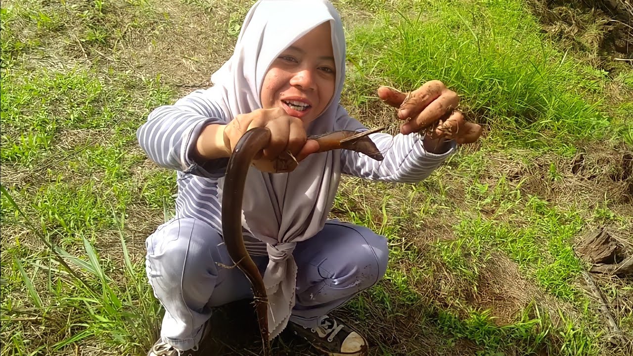 TANGKAP Belut LICIN di lubang SEMPIT - YouTube