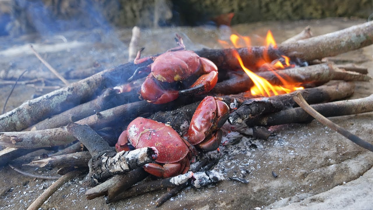 Net Crabbing in Ocean - Catching and Cooking Crab - YouTube