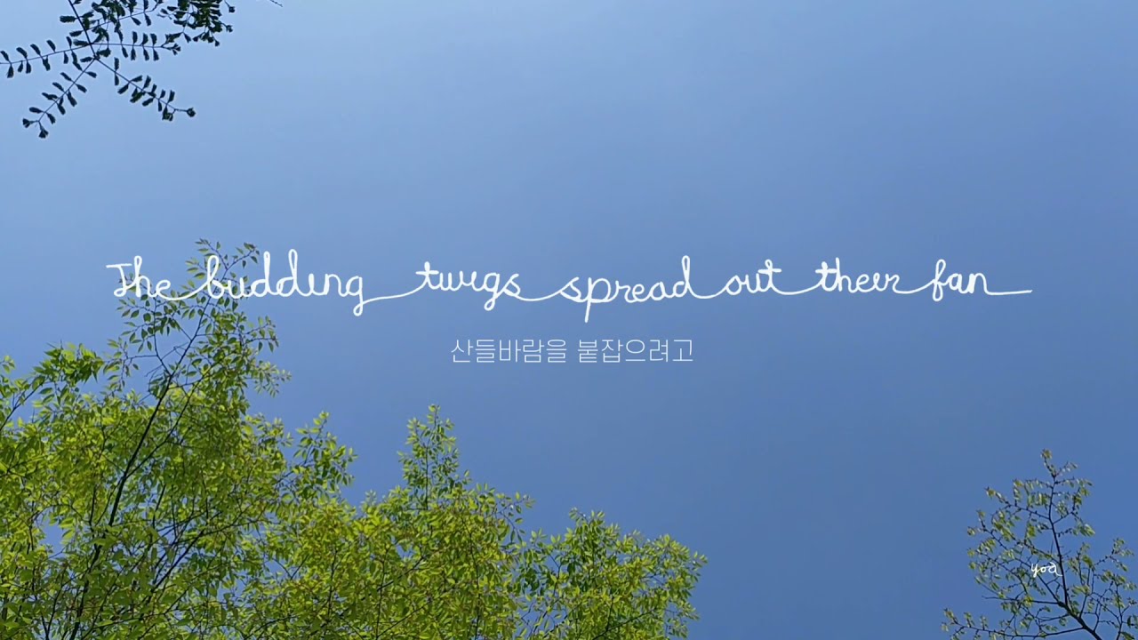 Lines Written in Early Spring by William Wordsworth (나무읽는목요일) - YouTube