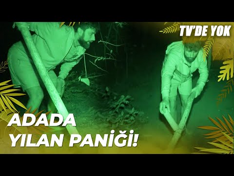 Yasin'in Yılan Kurtarma Operasyonu | Survivor All Star 2024 14. Bölüm