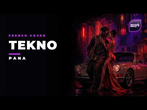 Tekno - Pana (Version Française by Baylon Beatz) | Full Cover Afrobeat