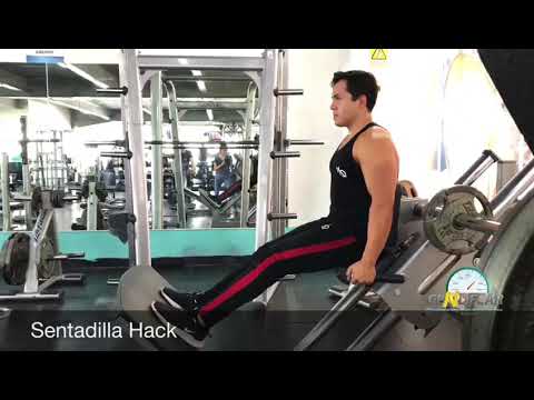 Sentadilla Hack. - YouTube