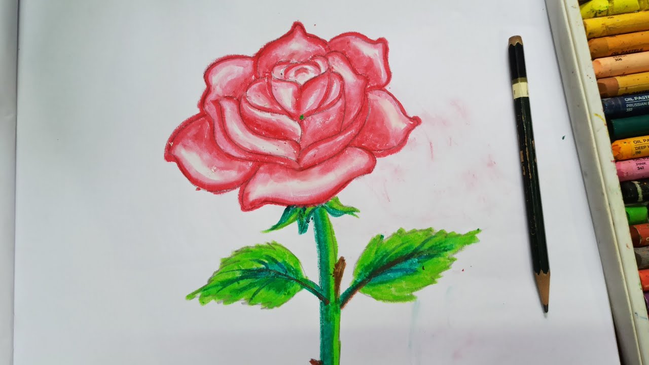 Rose drawing | Tanish Mondal | @tanishart - YouTube