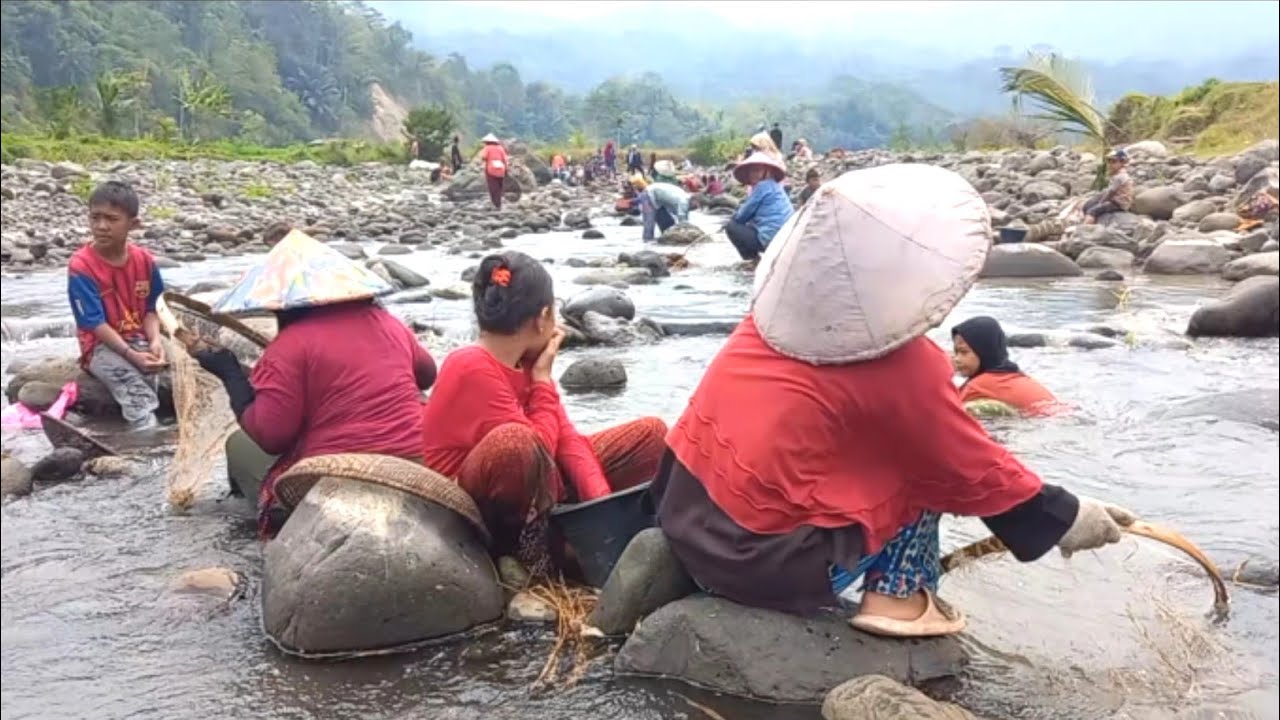 Marak Lauk di Walungan., Tradisi Unik & Langka Berburu Ikan di Sungai ...
