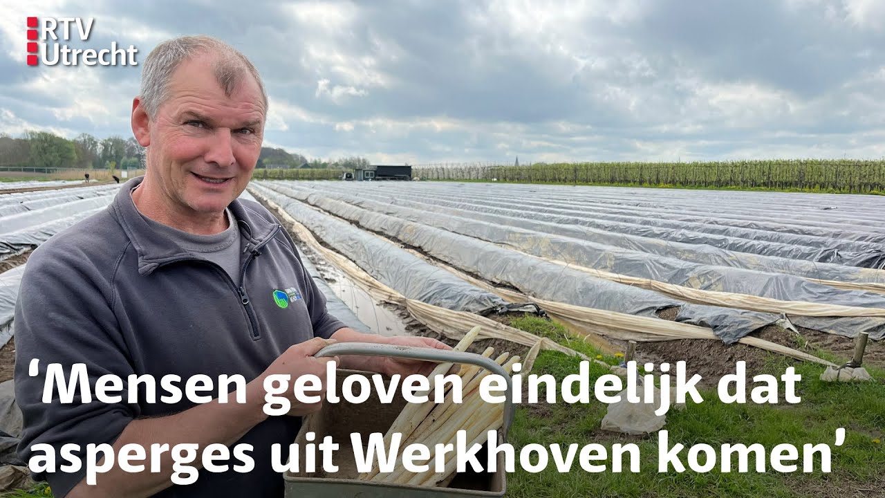 Na het warme weekend is het aspergeseizoen van Wim begonnen | RTV ...