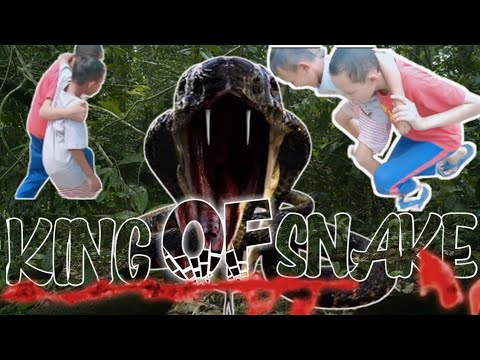 KING OF SNAKE || SHORT FILM - YouTube