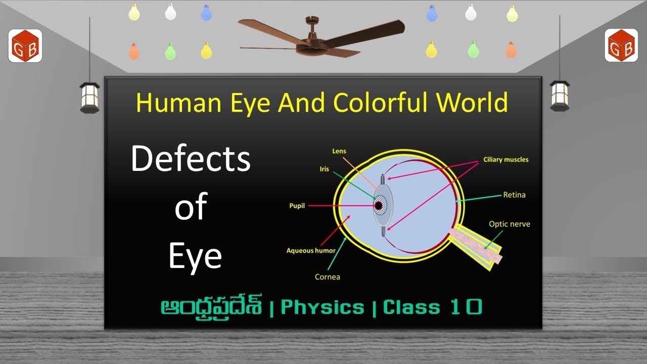 7.AP Board | Defect of Eye | Human Eye and Colorful World | Class10 ...
