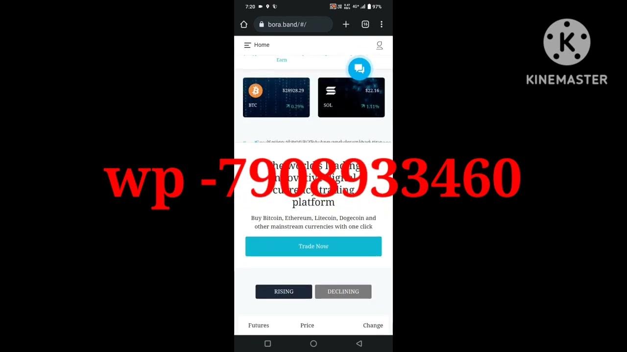 Earning Through Bora Band Bora Opportunity Bora Boraband Earnighs Treding Daily Profit