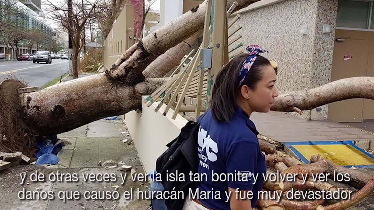 Yokarina Duarte - Un día en la vida - YouTube