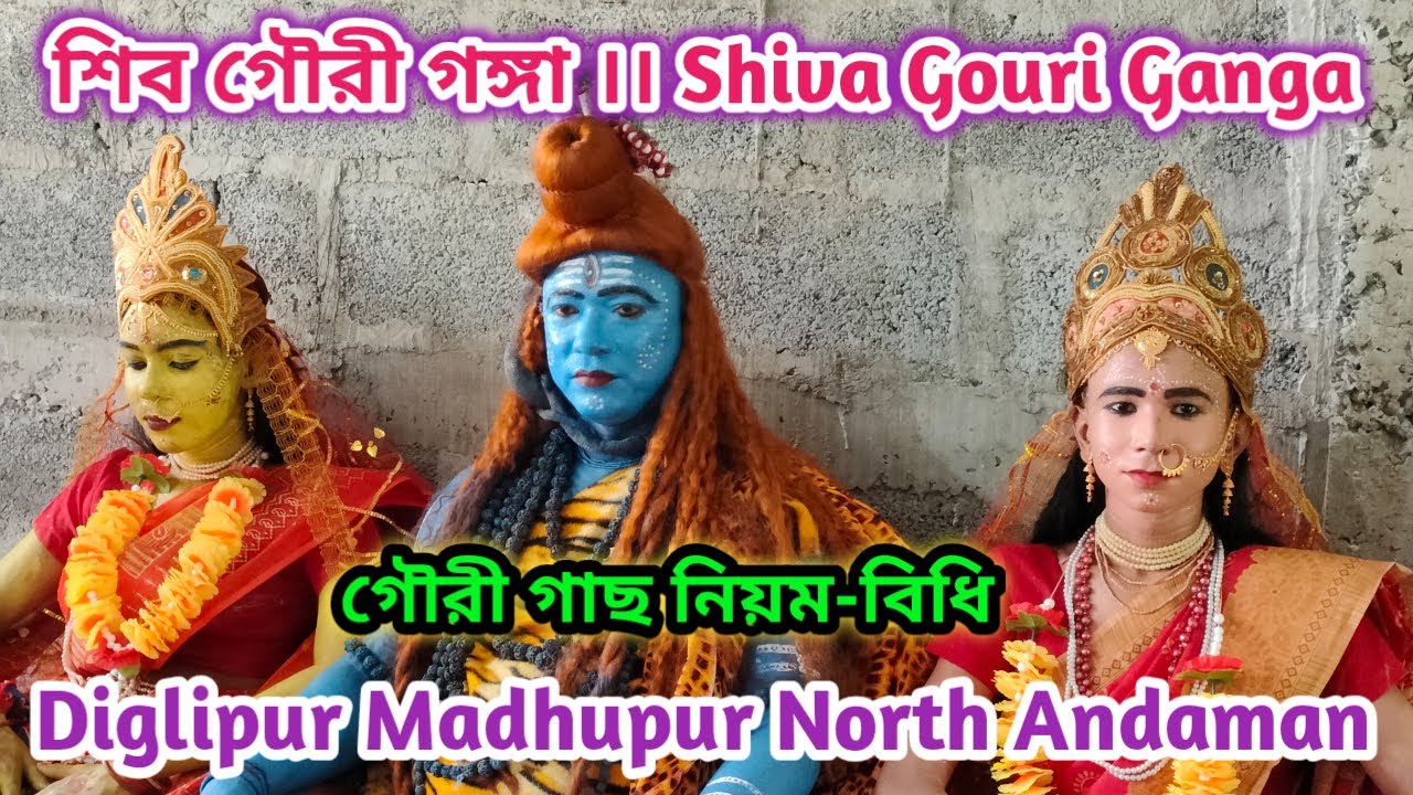 শিব গৌরী গঙ্গা ।।Shiva Gouri Ganga ।। গৌরী গাছ নিয়ম-বিধি।। - YouTube