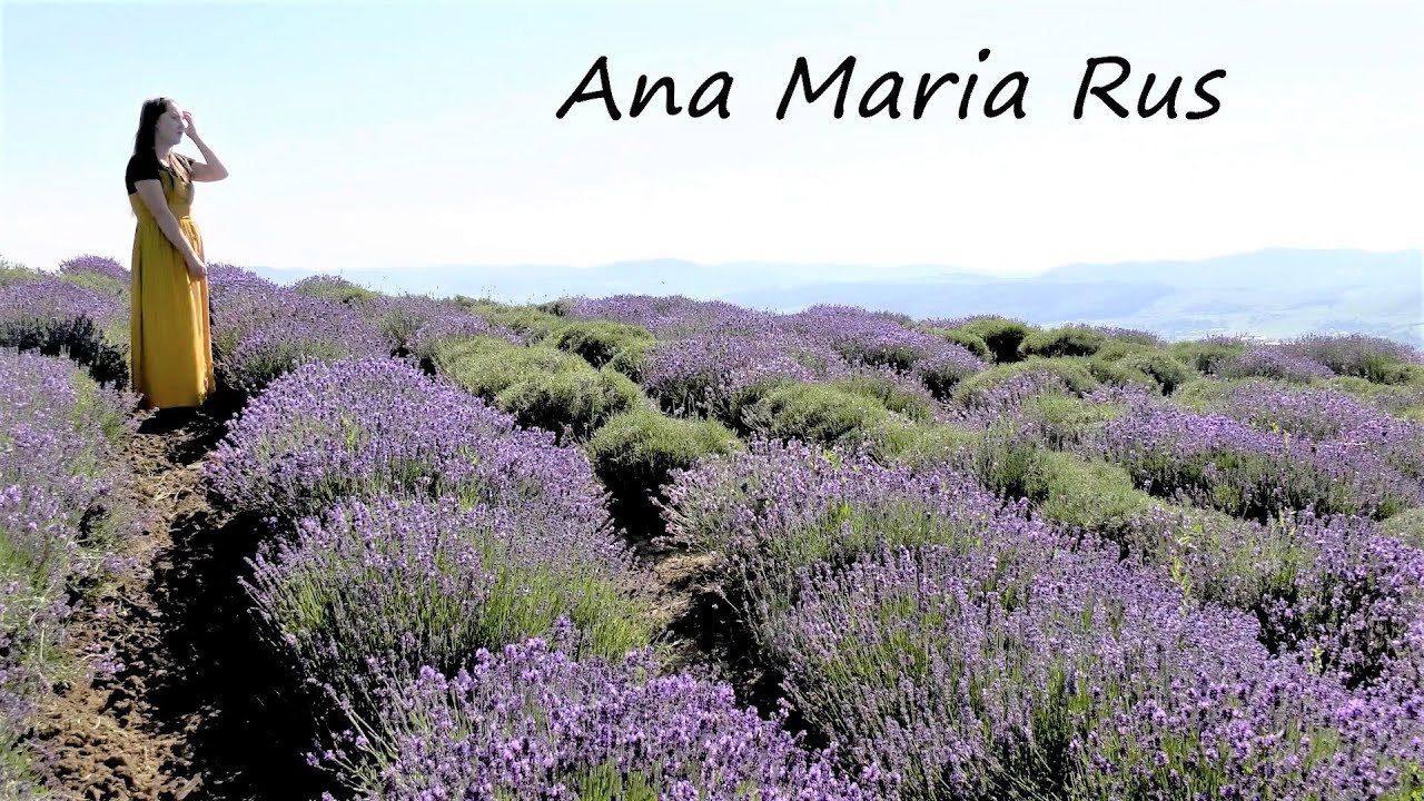 Dac ai ajuns în ape liniștite Ana Maria Rus -un grupaj de cântări ...