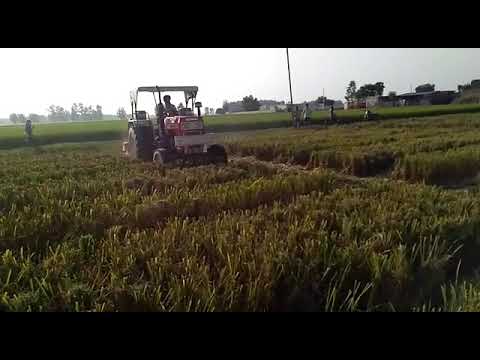 Paddy straw chopper by Dhiman Industries 09803610000 - YouTube
