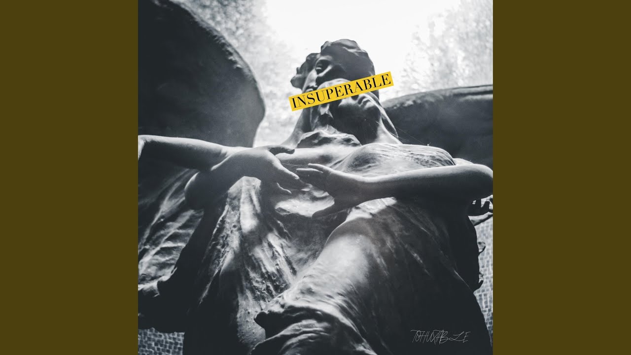 Fly Pelican Fly - YouTube