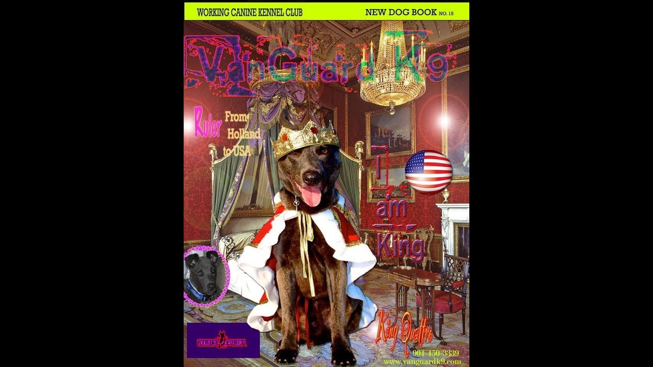 Vanguard k9: How to teach your puppy to bark & protect your vehicle ...